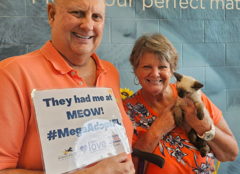 Petco Love Florida MEGA Pet Adoption Event Returning with Statewide ...
